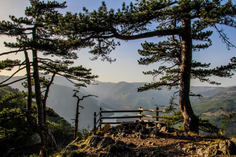 Top spa vikend ideje u Srbiji – Gde pobeći za pravi odmor tela i duše ...